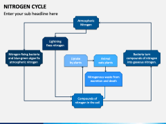 Nitrogen Cycle PowerPoint and Google Slides Template - PPT Slides