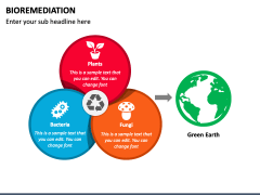Bioremediation PowerPoint and Google Slides Template - PPT Slides