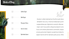 Free - Birds Presentation for PowerPoint and Google Slides - PPT Slides