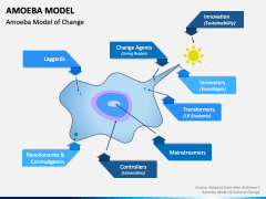 Amoeba Model PowerPoint and Google Slides Template - PPT Slides