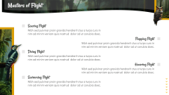 Free - Birds Presentation for PowerPoint and Google Slides - PPT Slides