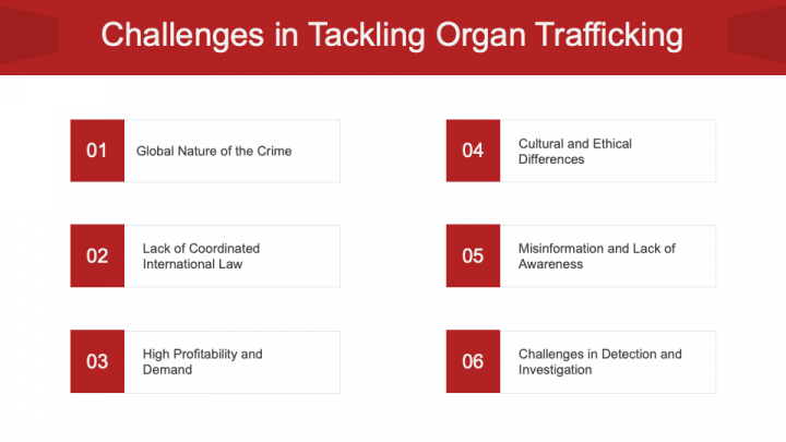 Free - Organ Trafficking PowerPoint and Google Slides Template - PPT Slides