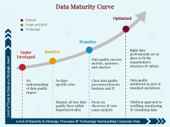 Data Maturity PowerPoint and Google Slides Template - PPT Slides