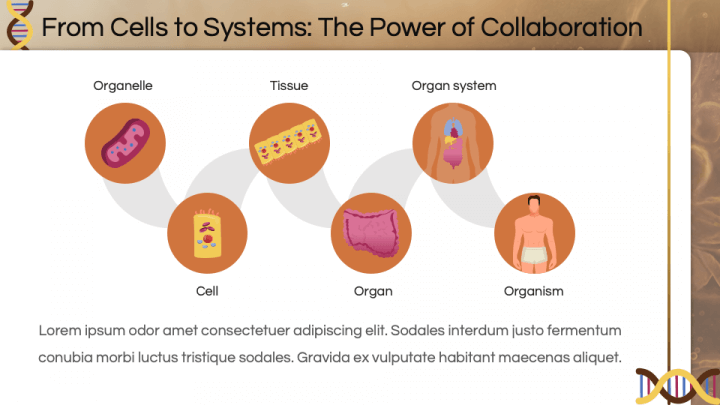 Free - Cell Biology Theme for PowerPoint and Google Slides - PPT Slides
