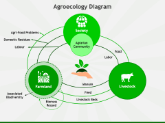 Agroecology PowerPoint and Google Slides Template - PPT Slides