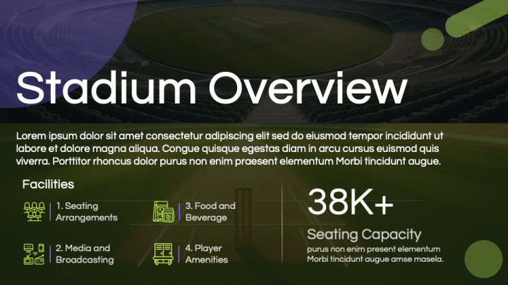 Free - Cricket Stadium Background Theme for PowerPoint and Google Slides