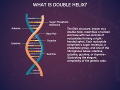 Double Helix PowerPoint Template and Google Slides Theme - PPT Slides