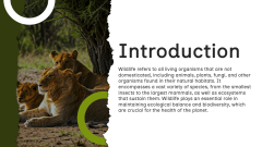 Free - Wildlife Presentation for PowerPoint and Google Slides - PPT Slides