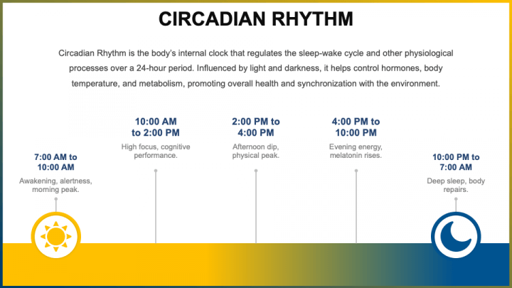 Circadian Rhythm PowerPoint and Google Slides Template - PPT Slides