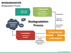Biodegradation PowerPoint and Google Slides Template - PPT Slides