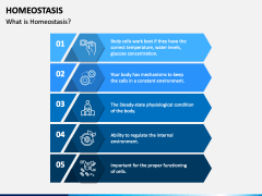 Homeostasis PowerPoint and Google Slides Template - PPT Slides