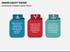Adam's Equity Theory PowerPoint and Google Slides Template - PPT Slides