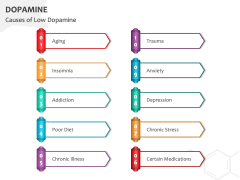 Dopamine PowerPoint and Google Slides Template - PPT Slides