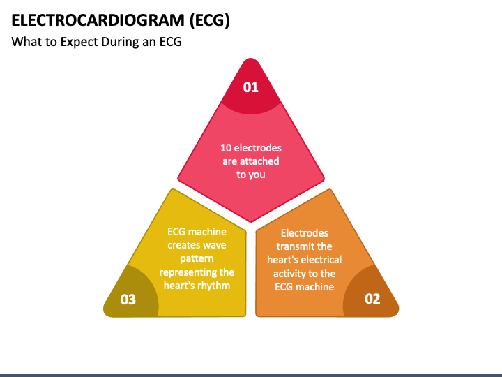 Electrocardiogram (ECG) PowerPoint and Google Slides Template - PPT Slides