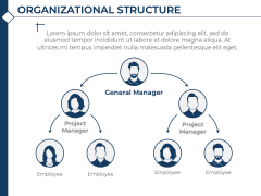 Organization Infographic for PowerPoint and Google Slides - PPT Slides