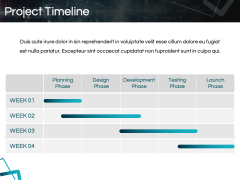 Web Project Proposal PowerPoint and Google Slides Template - PPT Slides