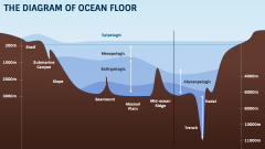 Oceanography PowerPoint and Google Slides Template - PPT Slides