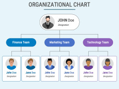 Animated Organizational Chart for PowerPoint and Google Slides - PPT Slides