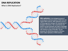 Free - DNA Replication PowerPoint and Google Slides Template - PPT Slides