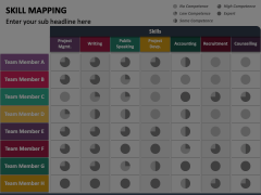 Skill Mapping PowerPoint and Google Slides Template - PPT Slides