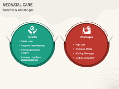 Neonatal Care PowerPoint and Google Slides Template - PPT Slides