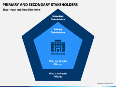 Primary and Secondary Stakeholders PowerPoint and Google Slides Template