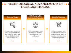 Free - Project Tiger in India PowerPoint Template and Google Slides Theme
