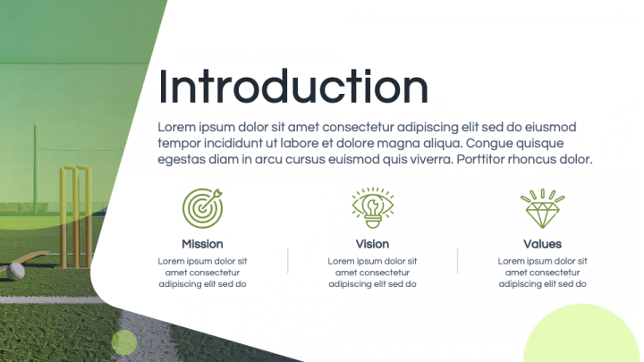 Free - Box Cricket Theme for PowerPoint and Google Slides - PPT Slides