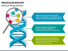 Molecular Biology PowerPoint and Google Slides Template - PPT Slides
