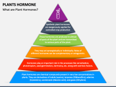 Plants Hormone PowerPoint and Google Slides Template - PPT Slides