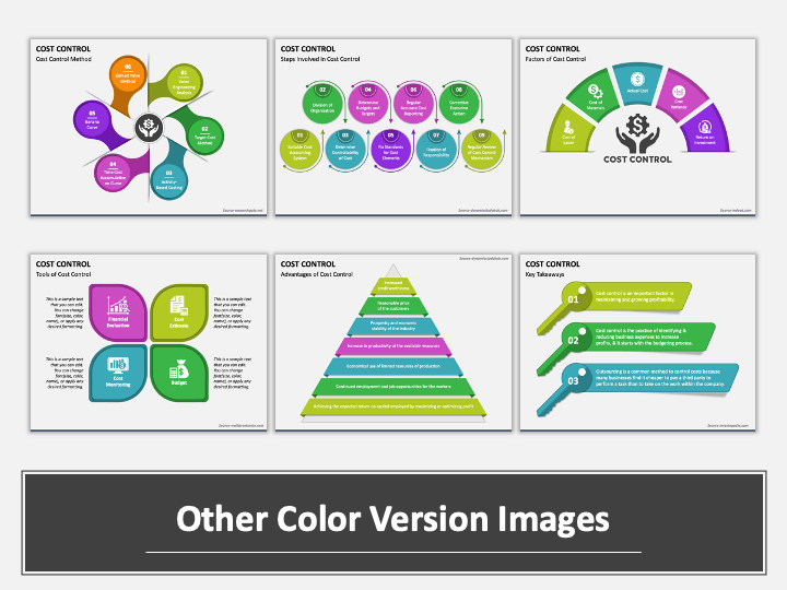 Cost Control PowerPoint and Google Slides Template - PPT Slides