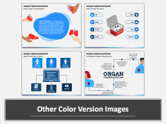 Organ Transplantation PowerPoint and Google Slides Template - PPT Slides