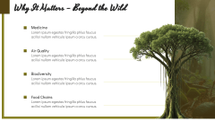 Free - Wildlife Conservation Theme for PowerPoint and Google Slides ...