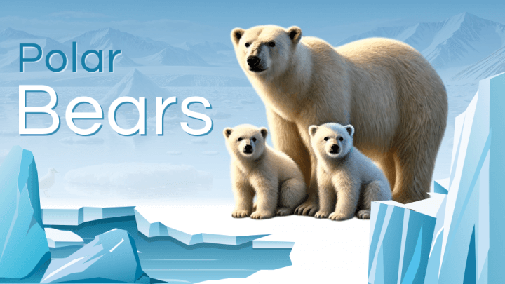 Free - Polar Bears Theme for PowerPoint and Google Slides - PPT Slides