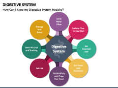 Digestive System PowerPoint and Google Slides Template - PPT Slides