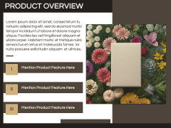 Product Introduction PowerPoint and Google Slides Template - PPT Slides