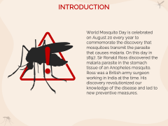Free - World Mosquito Day PowerPoint Template and Google Slides Theme