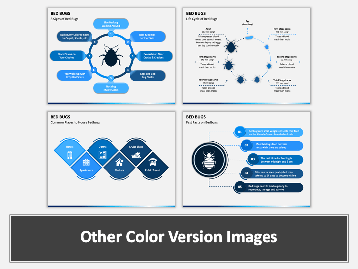 Bed Bugs PowerPoint and Google Slides Template - PPT Slides