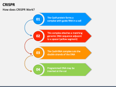 CRISPR PowerPoint and Google Slides Template - PPT Slides