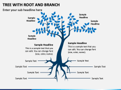 Tree with Root and Branch for PowerPoint and Google Slides - PPT Slides