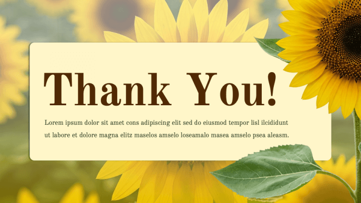 Free - Sunflower Theme for PowerPoint and Google Slides - PPT Slides