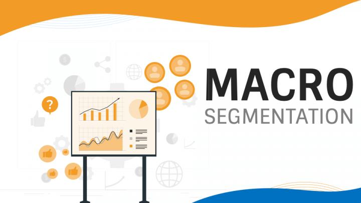 Macro Segmentation PowerPoint and Google Slides Template - PPT Slides