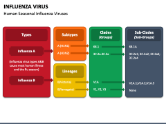 Influenza Virus PowerPoint and Google Slides Template - PPT Slides