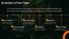 Free - Tiger Presentation for PowerPoint and Google Slides - PPT Slides