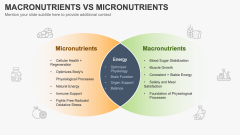 Macronutrients Vs Micronutrients PowerPoint and Google Slides Template ...
