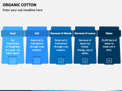 Organic Cotton PowerPoint and Google Slides Template - PPT Slides