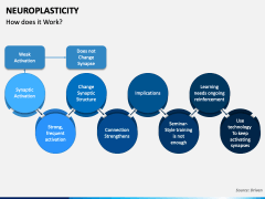 Neuroplasticity PowerPoint and Google Slides Template - PPT Slides