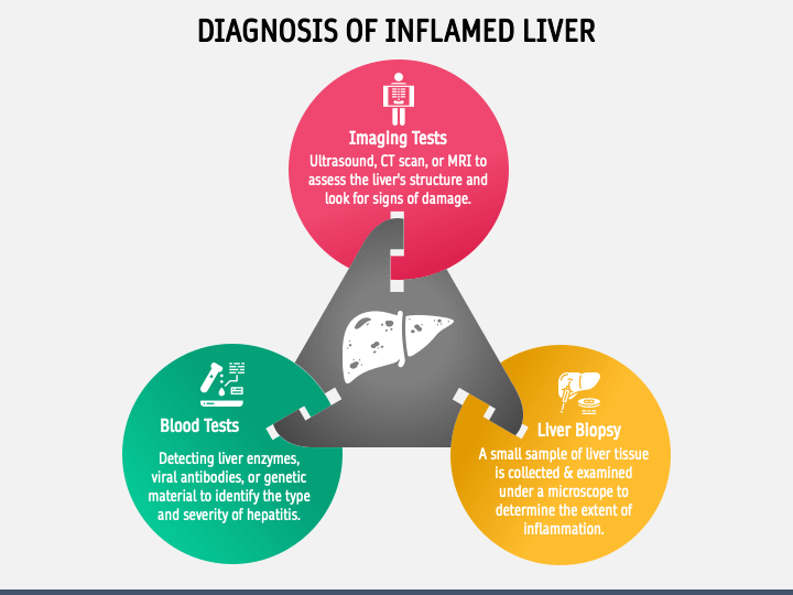 Inflamed Liver PowerPoint and Google Slides Template - PPT Slides