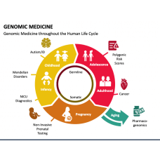 PowerPoint Templates, Graphics and Themes - PPT Slides | SketchBubble