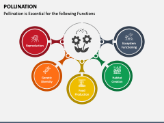 Pollination PowerPoint and Google Slides Template - PPT Slides